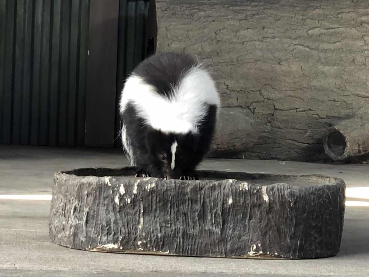 IMG_3270 - WDW News Today