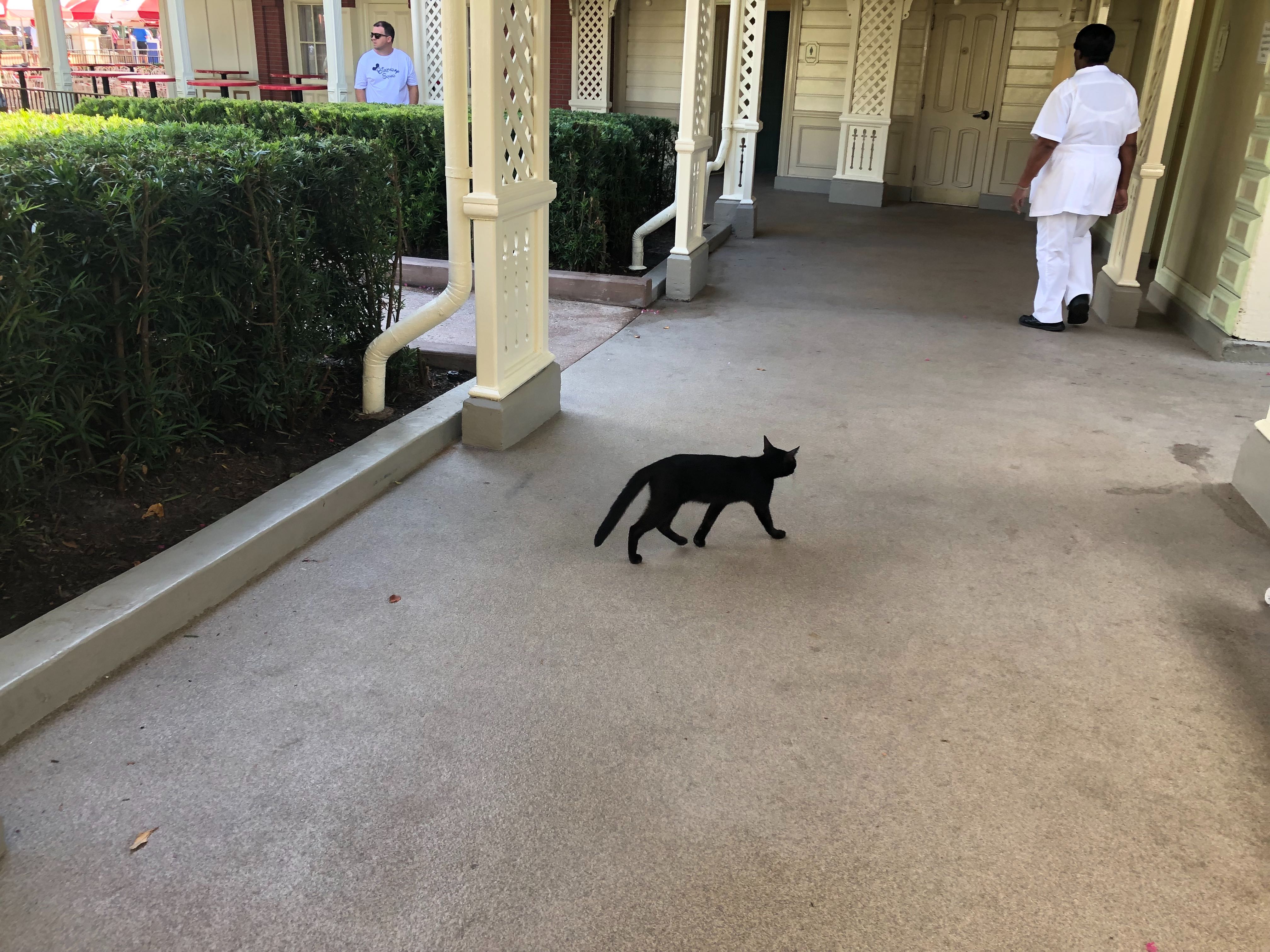 Walt Disney World Resort Archives - Page 974 of 1486 - WDW News Today