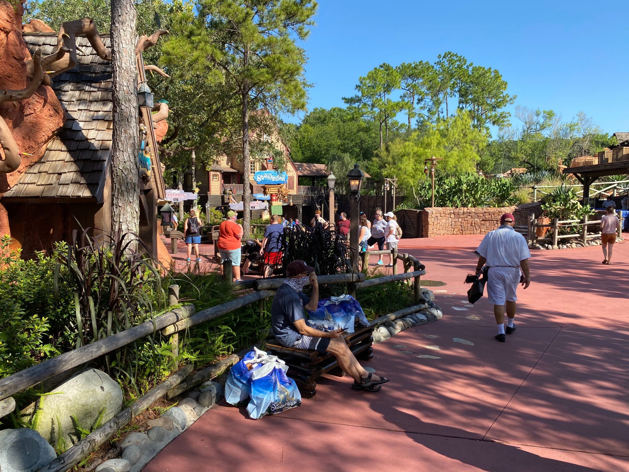 briar patch splash mountain merchandise purchases magic kingdom 3 - WDW ...