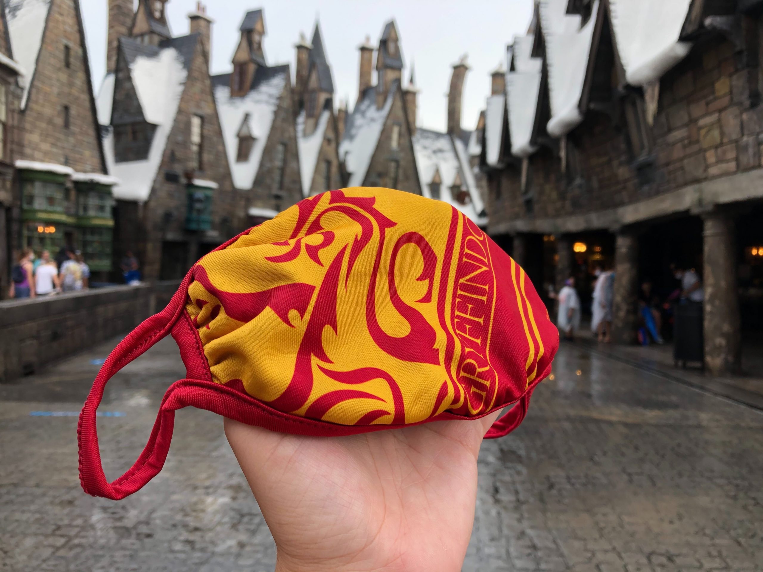 harry potter gryffindor face mask_20 - WDW News Today