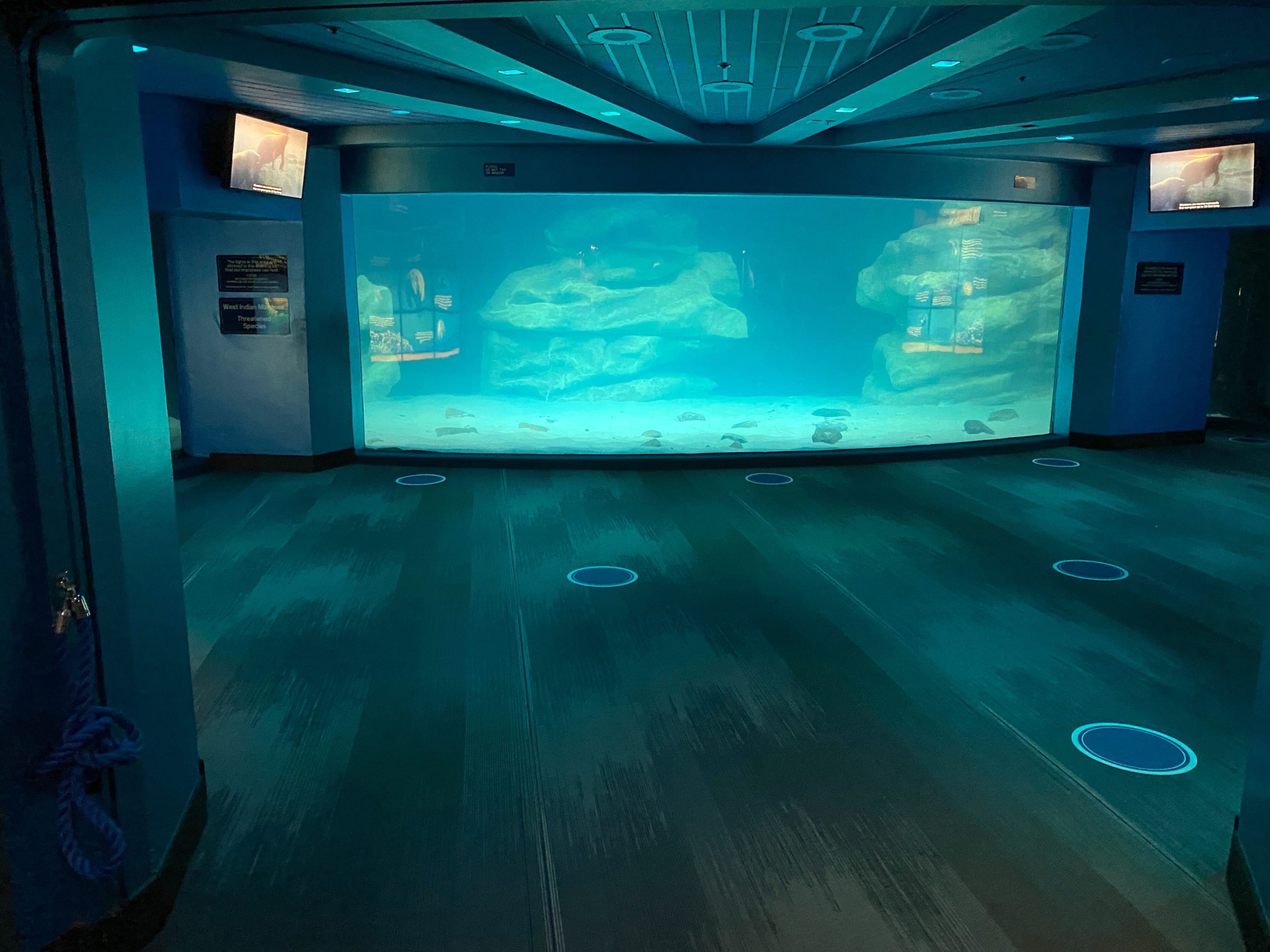 the seas with nemo and friends reopen epcot (12) - WDW News Today