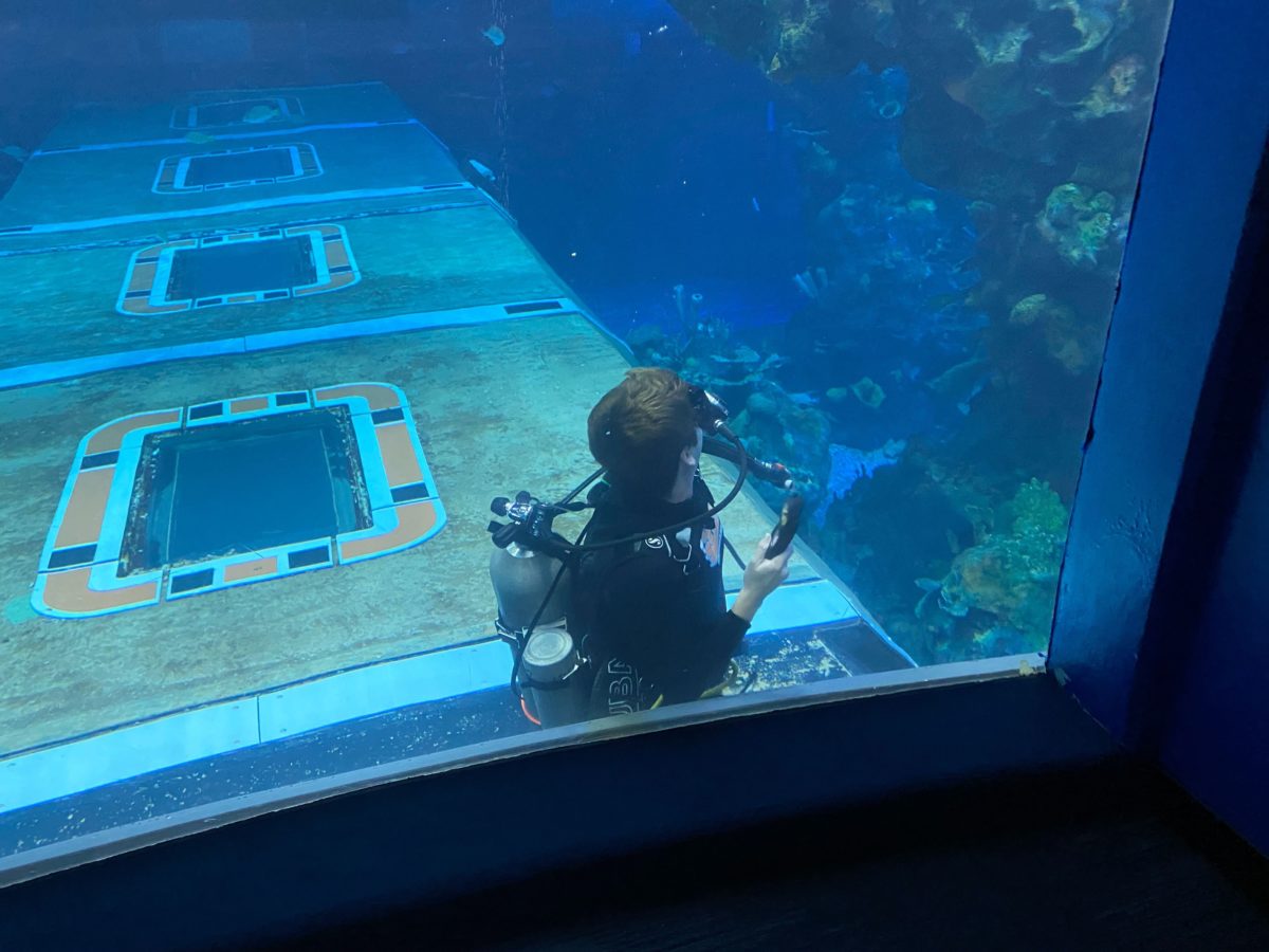 the seas with nemo and friends reopen epcot (26) - WDW News Today