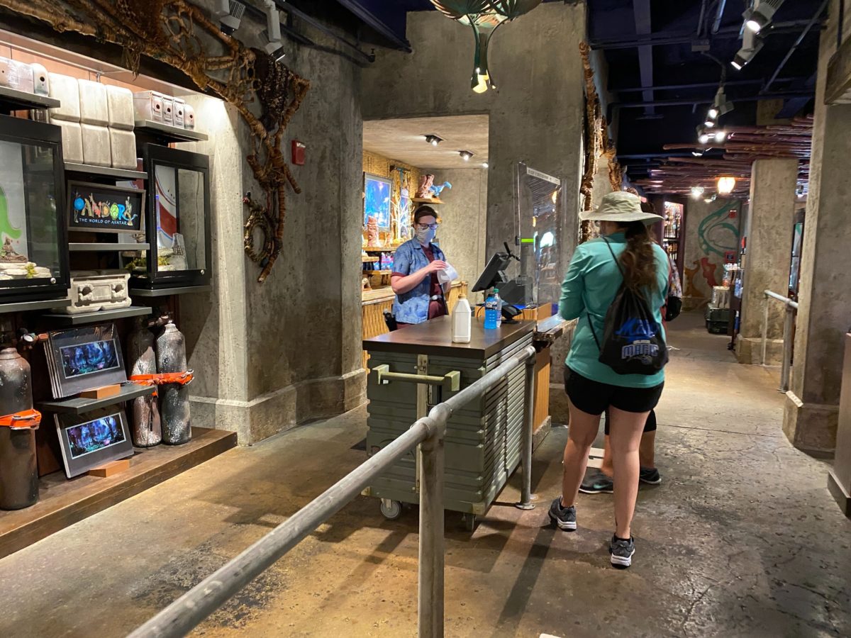 windtraders 35 - WDW News Today