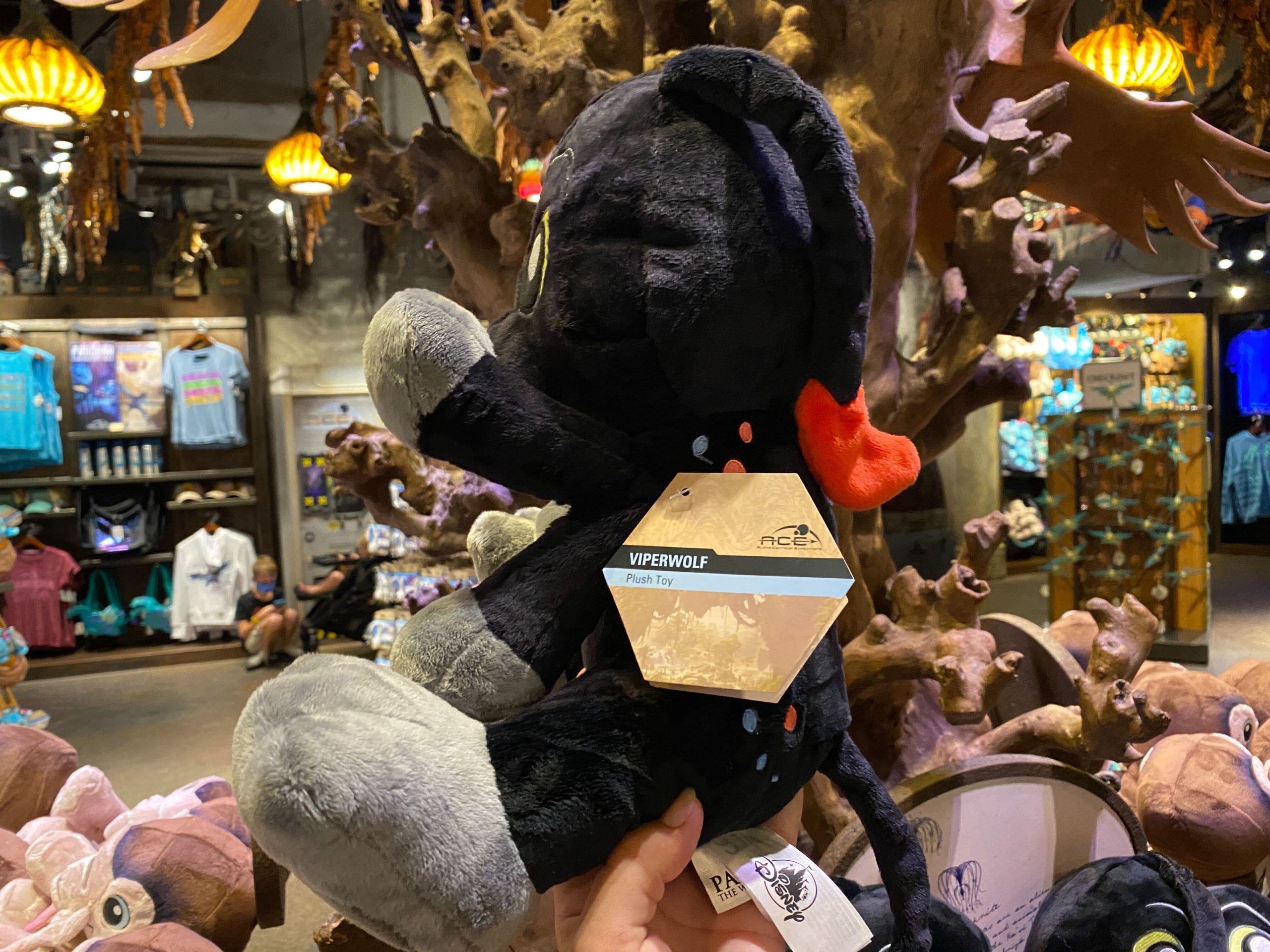 windtraders 7 - WDW News Today