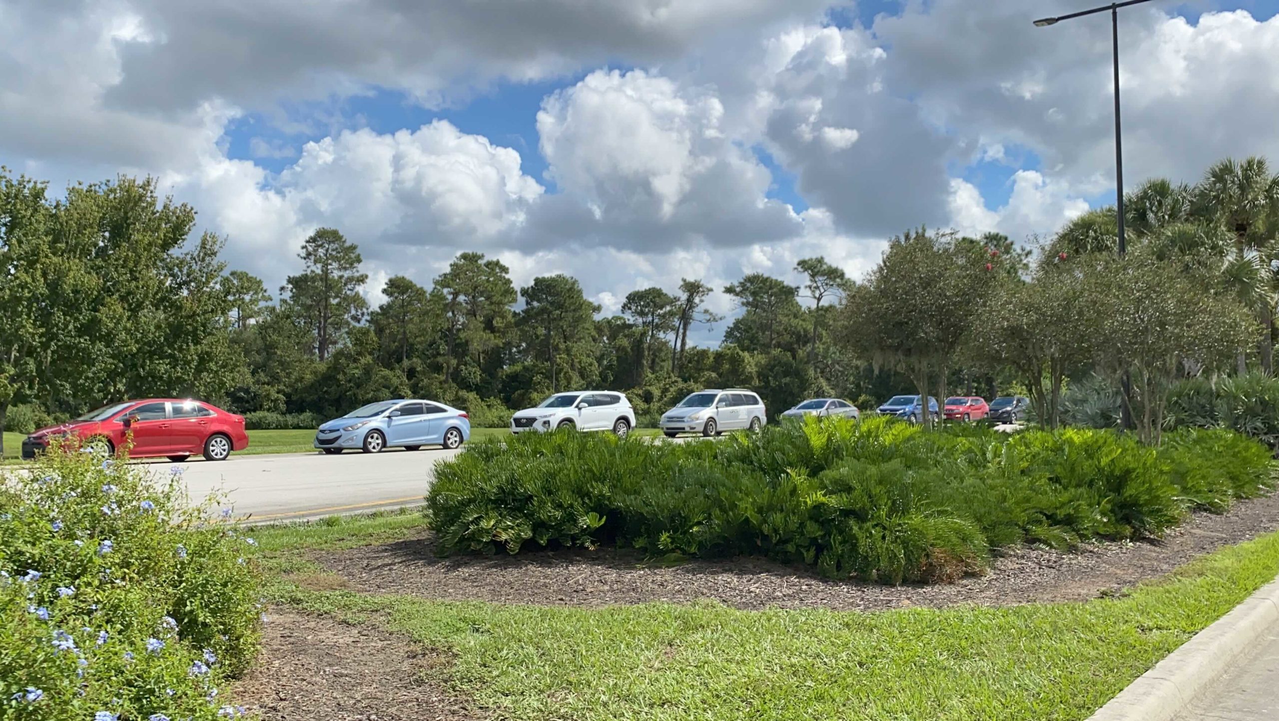 cast connection reopens car traffic line walt disney world 4 - WDW News ...