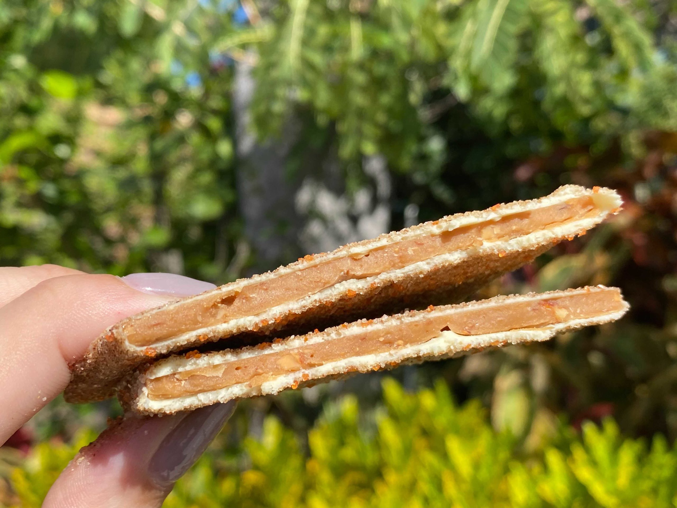 pumpkin churro toffee marceline's confectionery 5 - WDW News Today