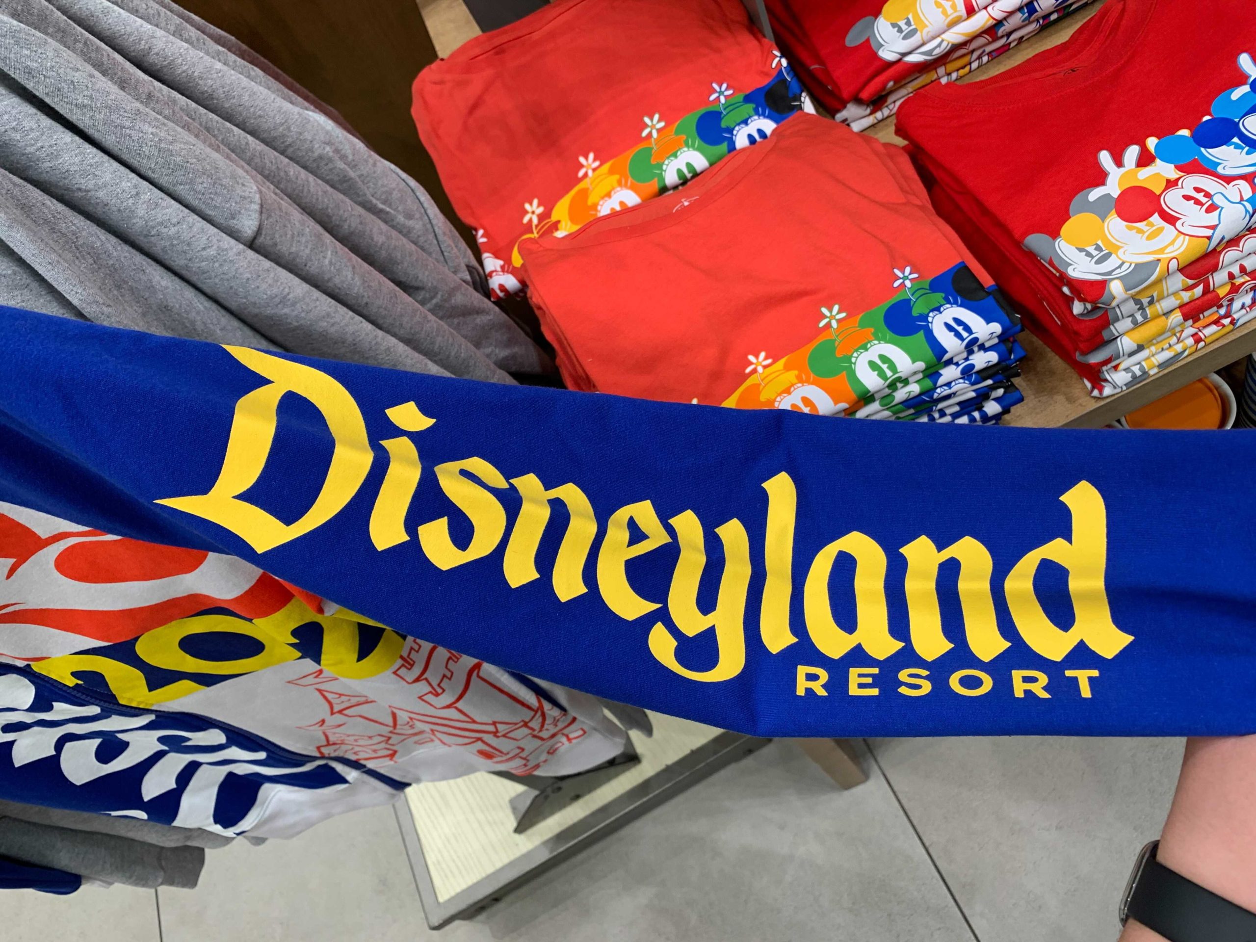 2021 merchandise Disneyland Resort (19) - WDW News Today