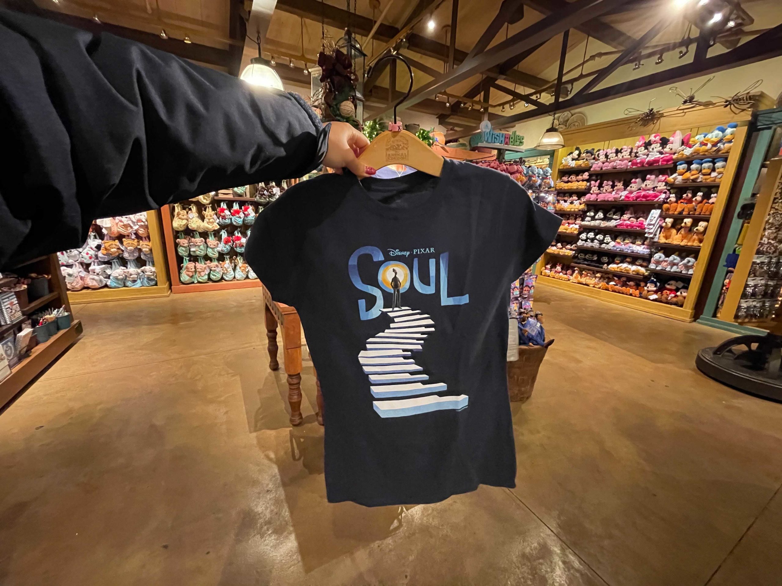soul merchandise (33) - WDW News Today