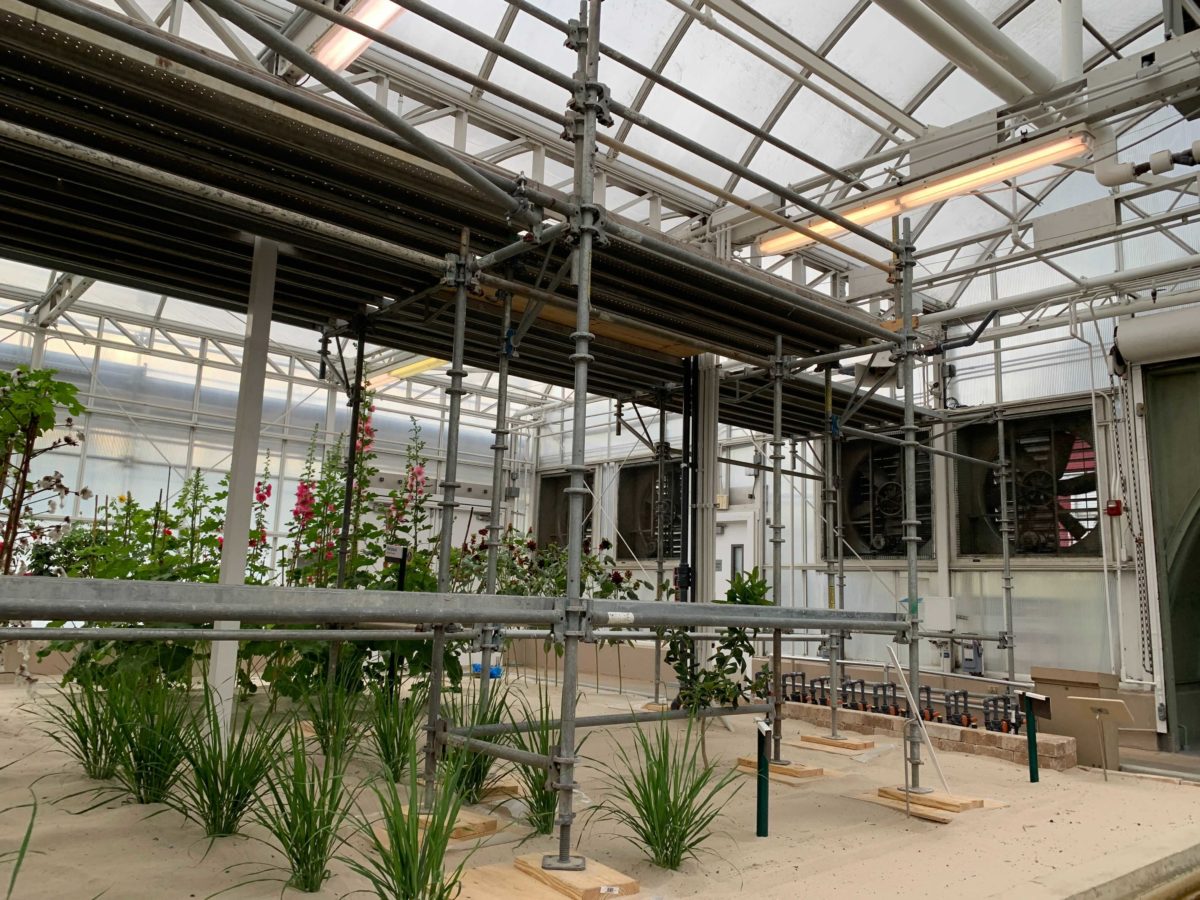 PHOTOS: Scaffolding Erected Inside Living with the Land at EPCOT - WDW ...