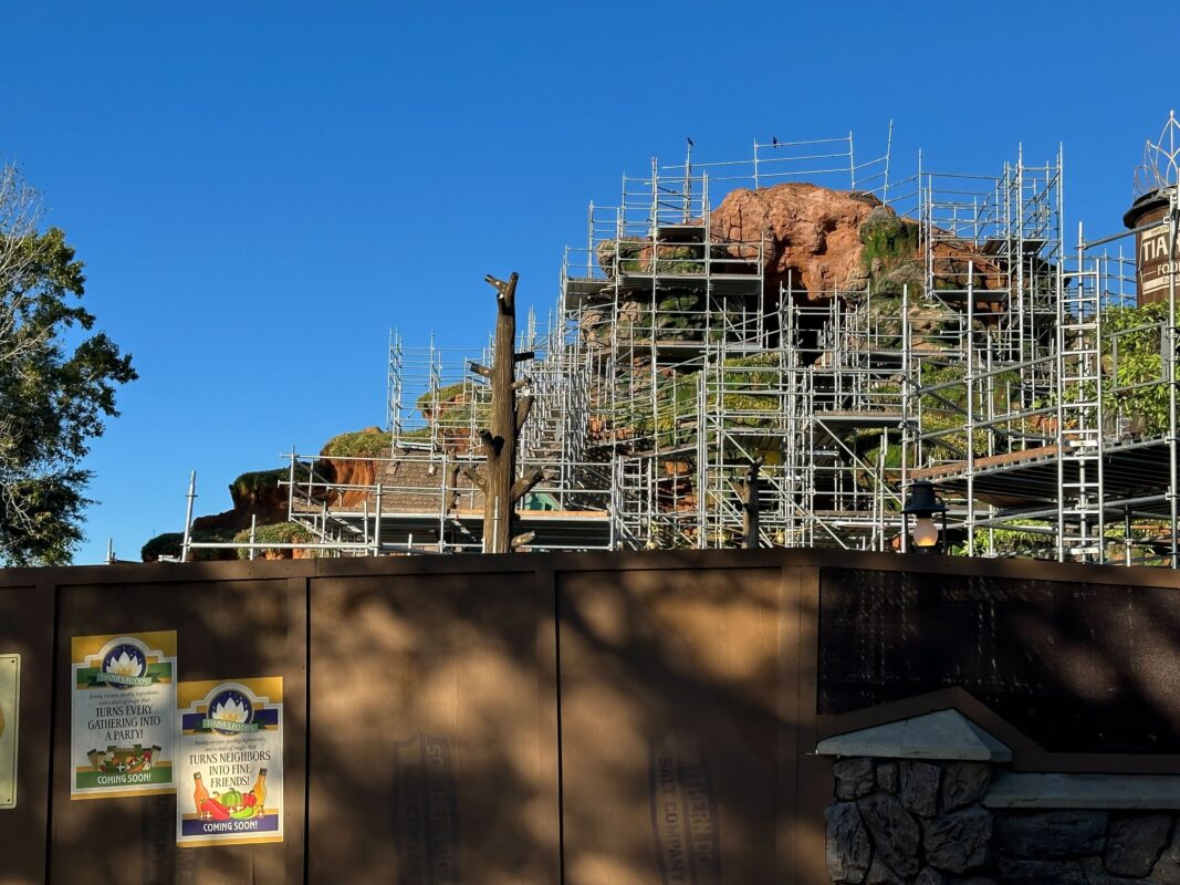 PHOTOS: New Greenery Added to Tiana's Bayou Adventure at Magic Kingdom ...