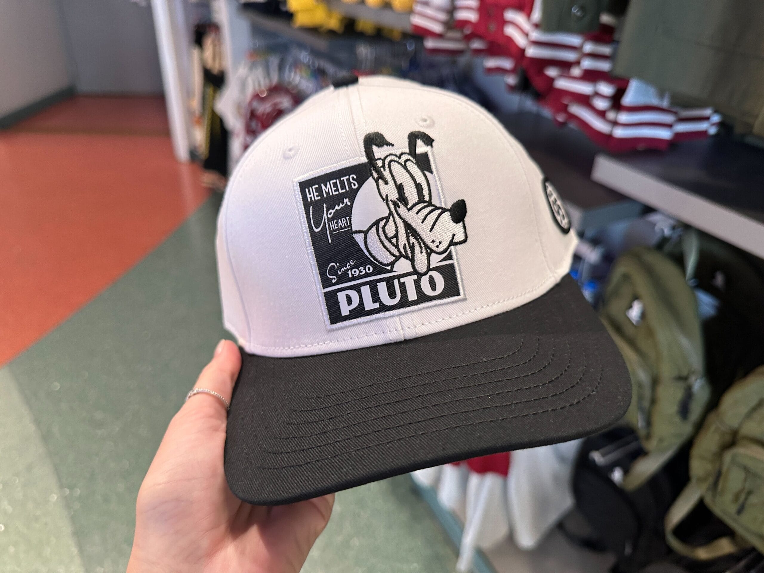 Celebrate Pluto's 95th Birthday With Vintage Style at Disney World ...