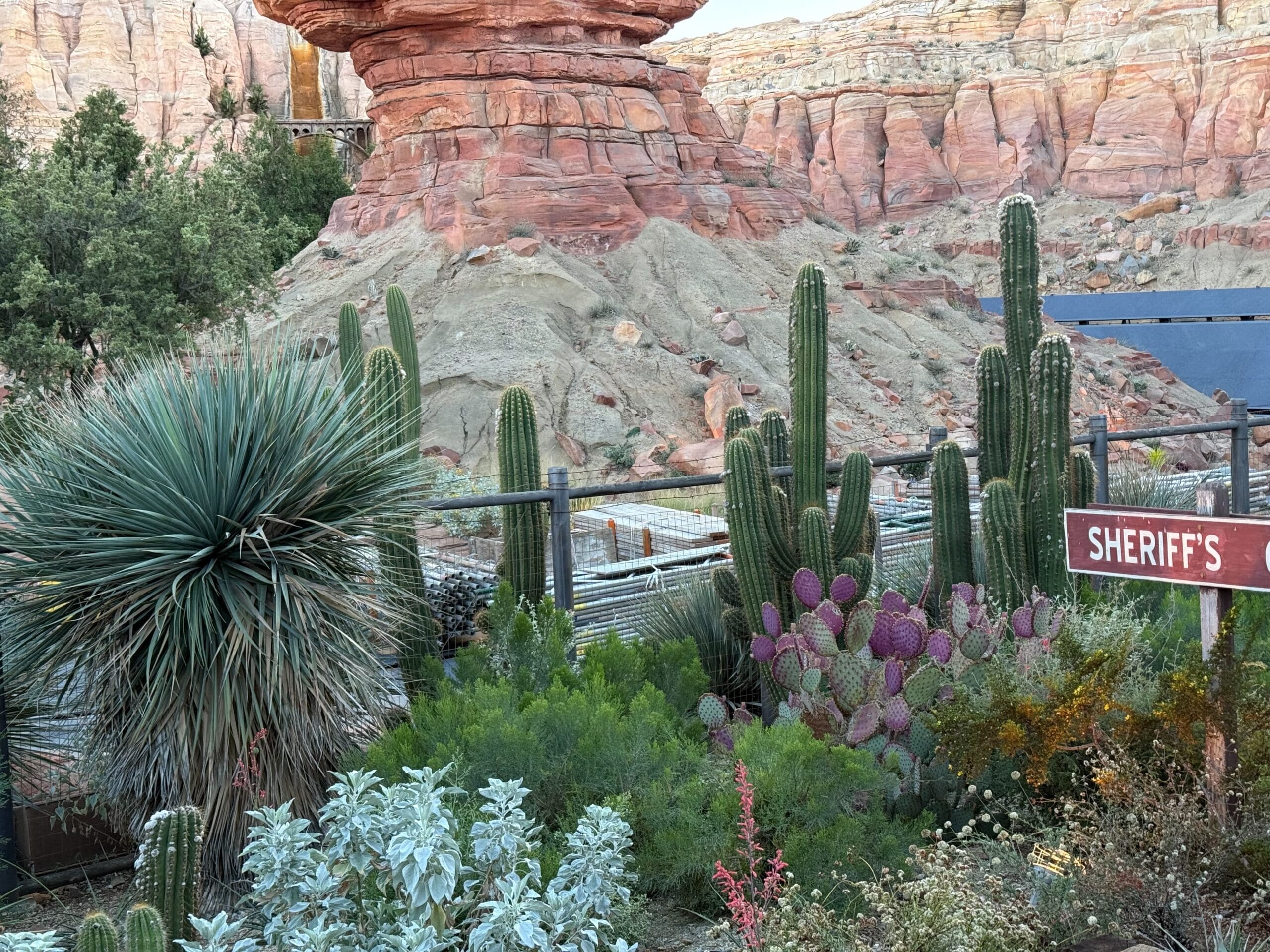Radiator Springs Racers Track Refreshed as Part of Extended ...