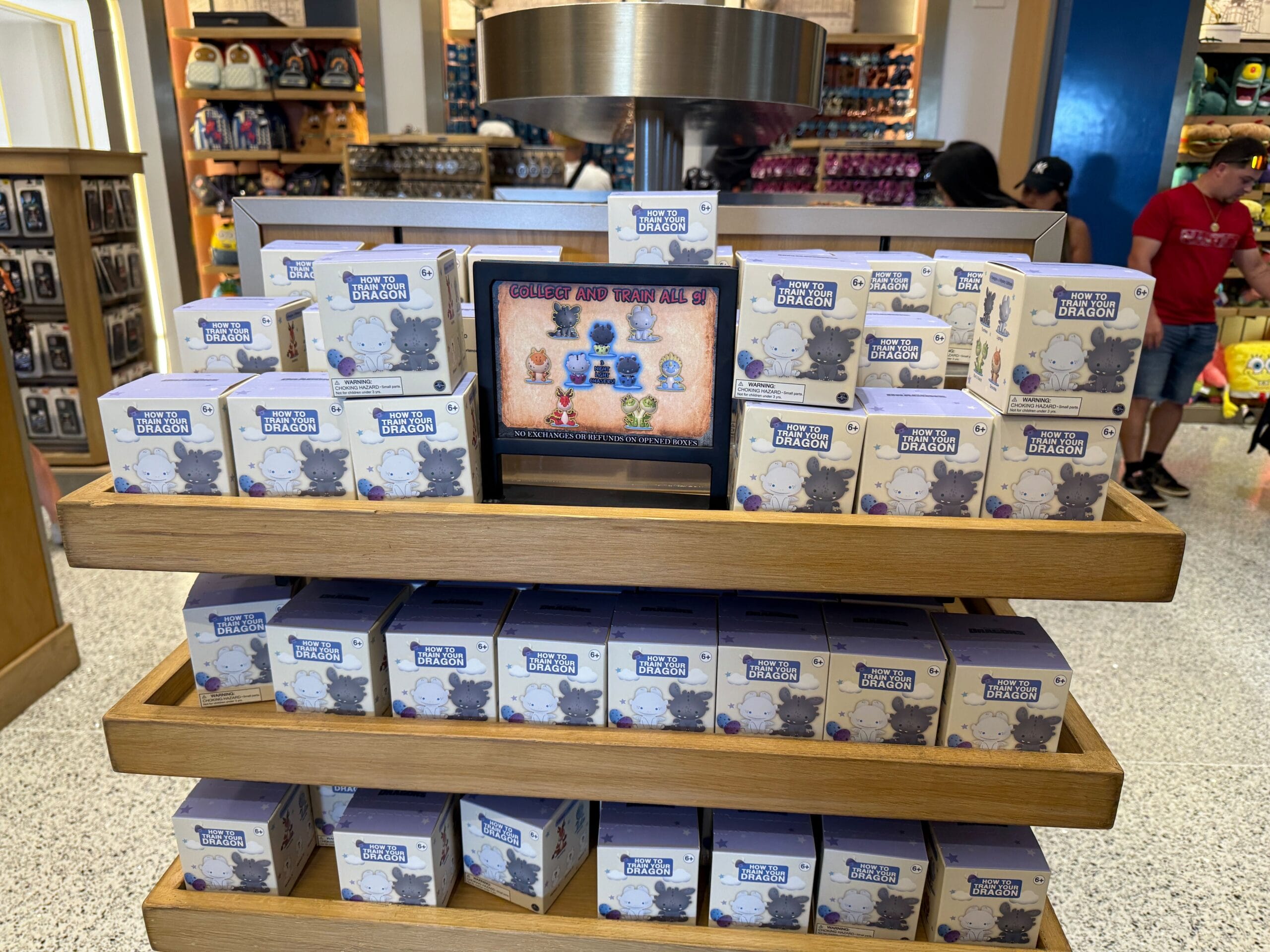 Collect the How to Train Your Dragon Universal Park Exclusive Mystery ...