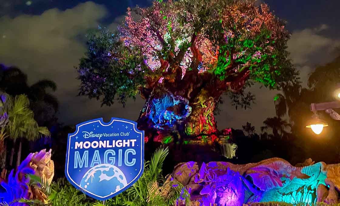 Disney Vacation Club 2026 Moonlight Magic Dates Announced - WDW News Today