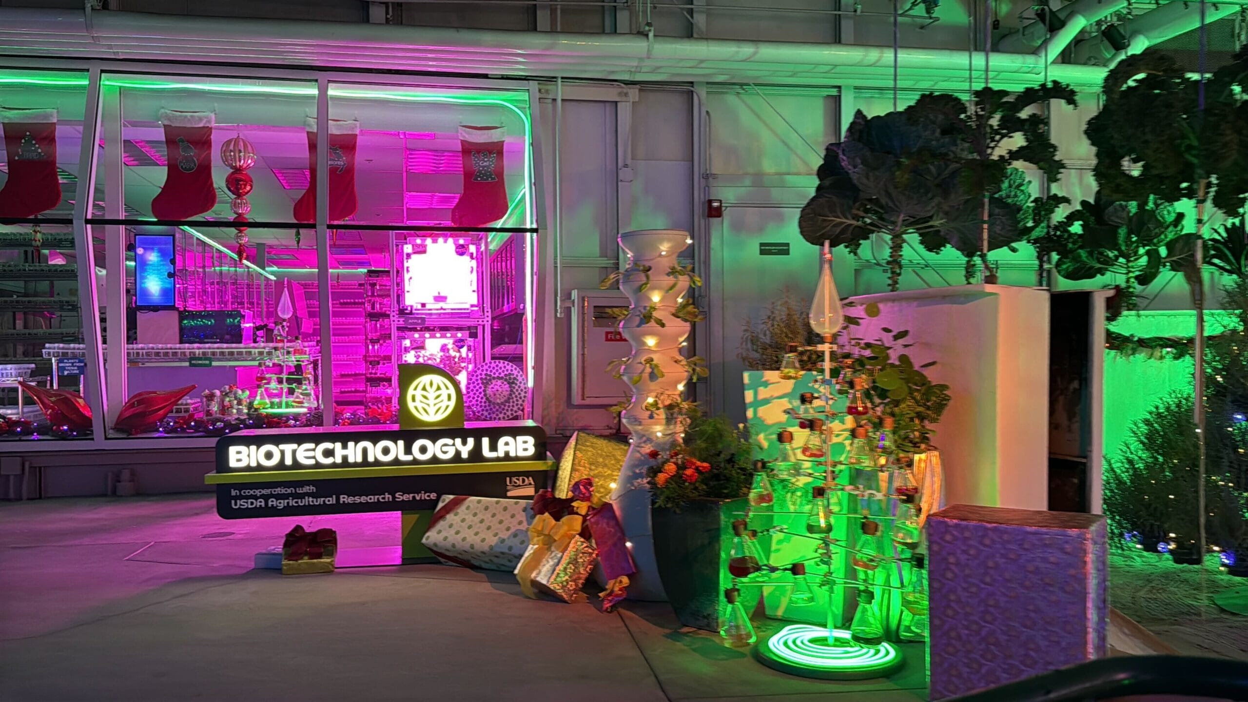 Behind the Scenes Video at Living with the Land – Glimmering Greenhouses - WDW News Today