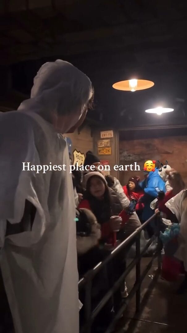 Physical Fight Breaks Out in Radiator Springs Racers Queue at ...