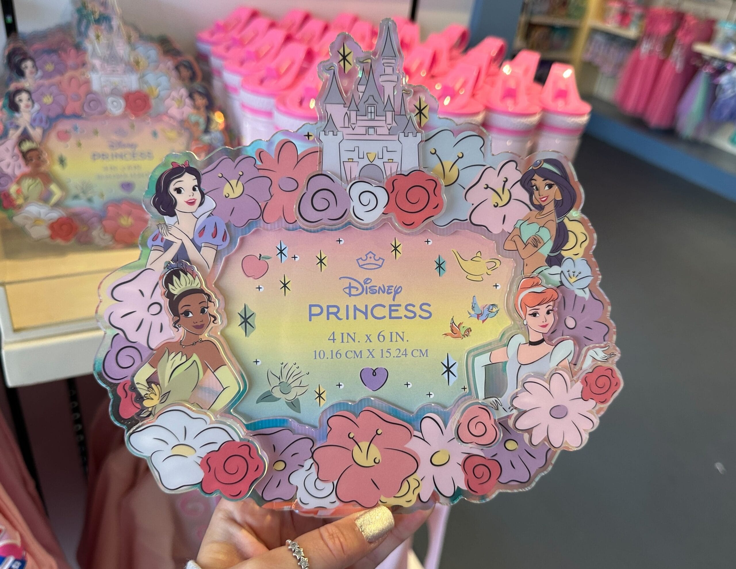 New Disney Princess Picture Frame Now Available at Disney World - WDW ...