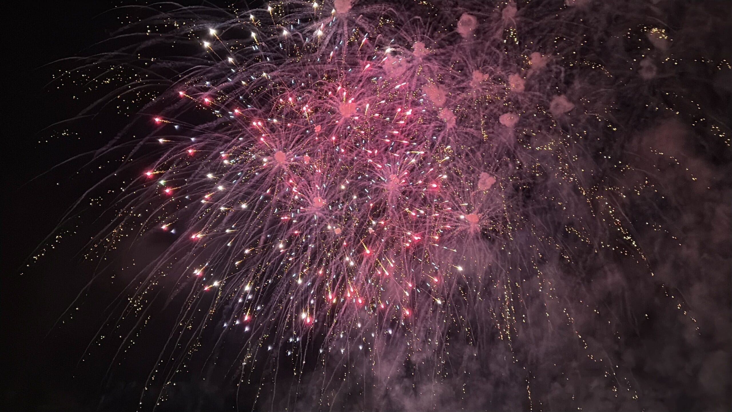 Full Video of 2026 New Year's Eve Cheers to the New Year: A Sparkling ...