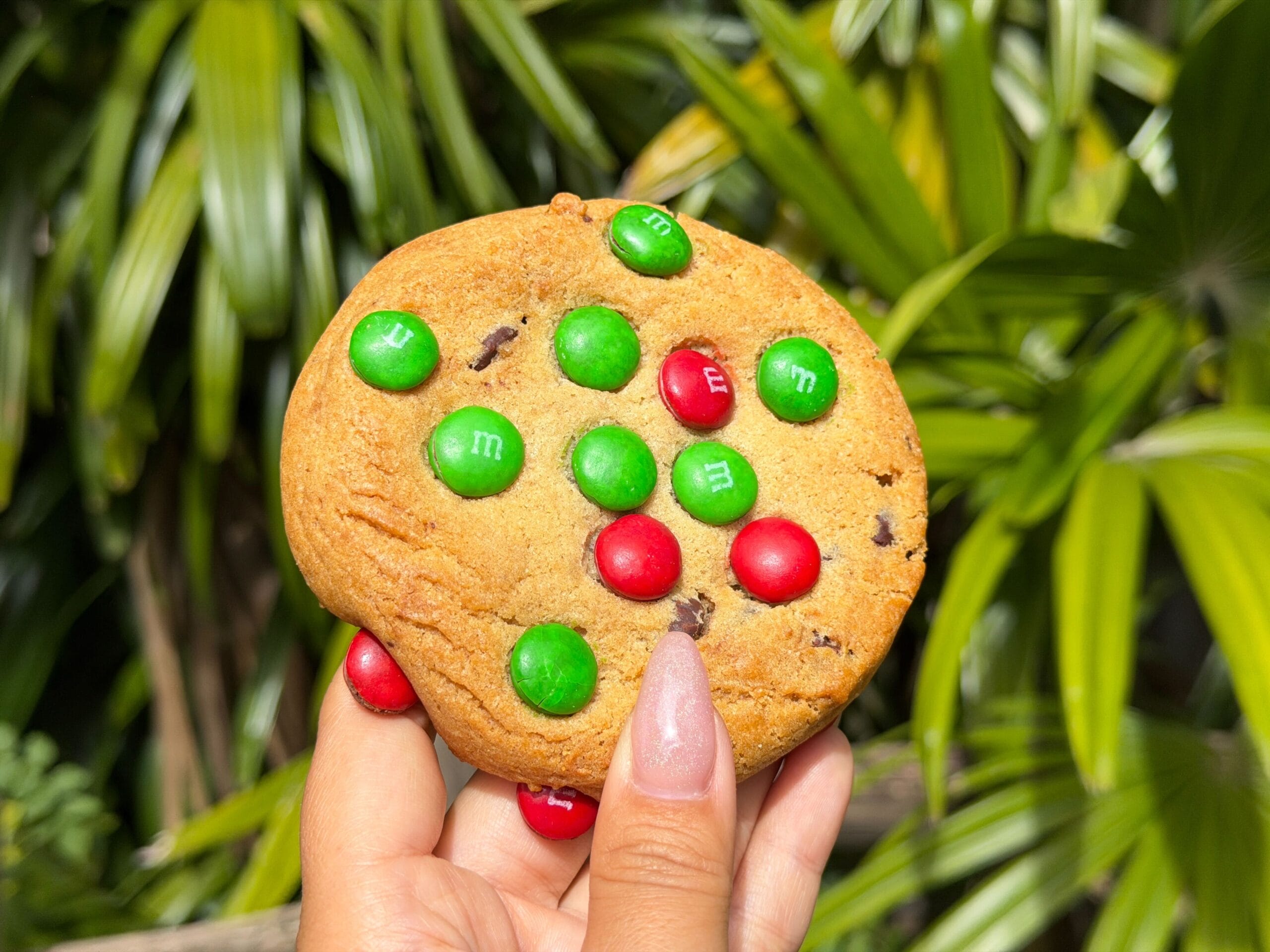 REVIEW: Holiday M&M Cookie at Disney's Animal Kingdom - WDW News Today