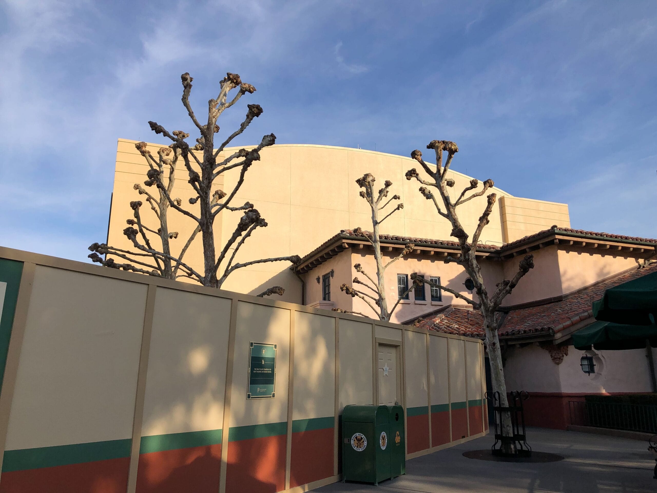 Animation Courtyard Trees Trimmed Down to Branches at Hollywood Studios ...
