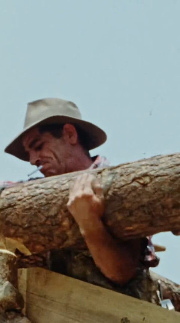 'Disneyland Handcrafted' Teaser Shares It Was a 'Miracle' Disneyland ...