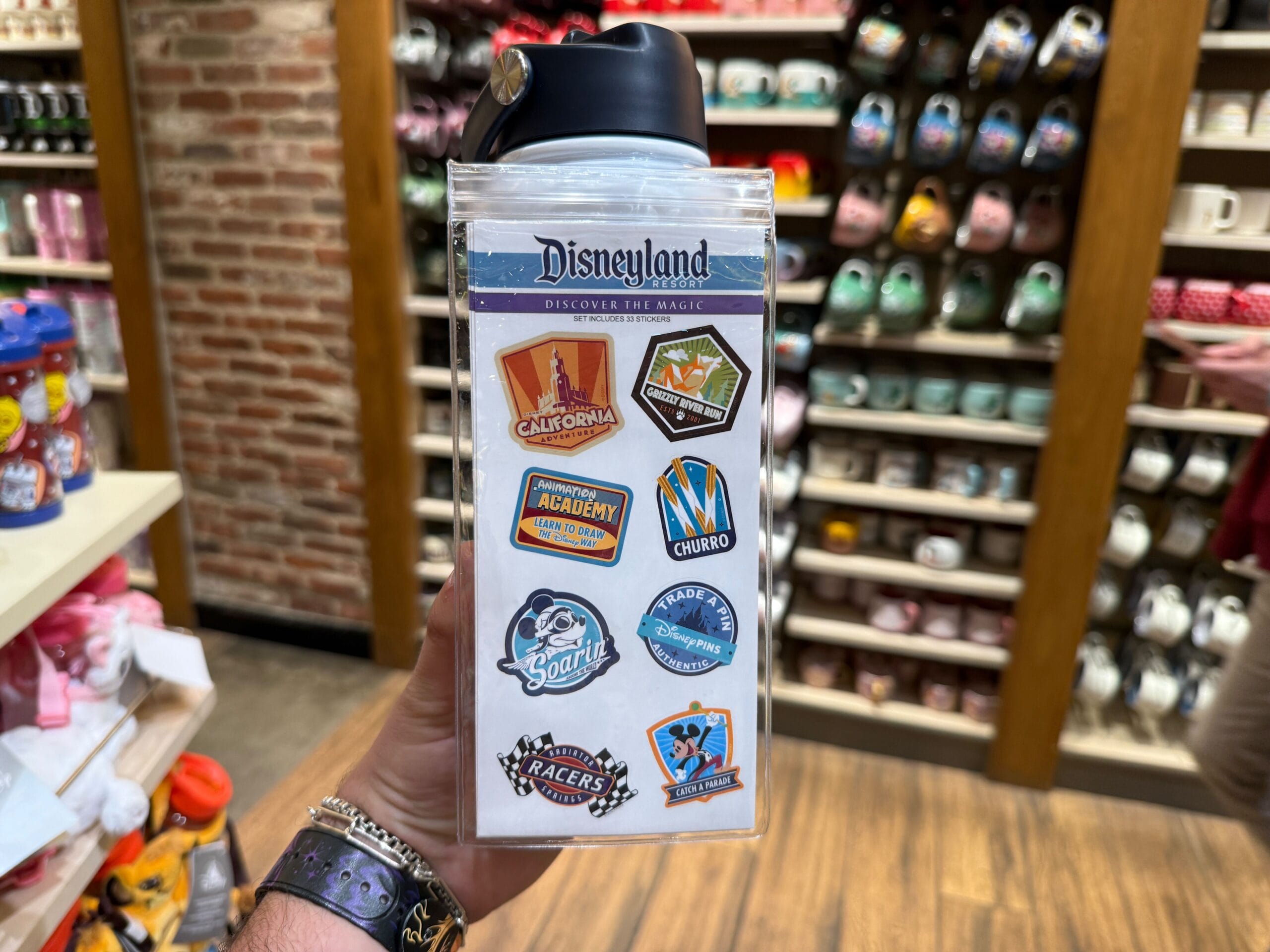 Water Bottle with Disneyland Resort Stickers Now Available - WDW News Today