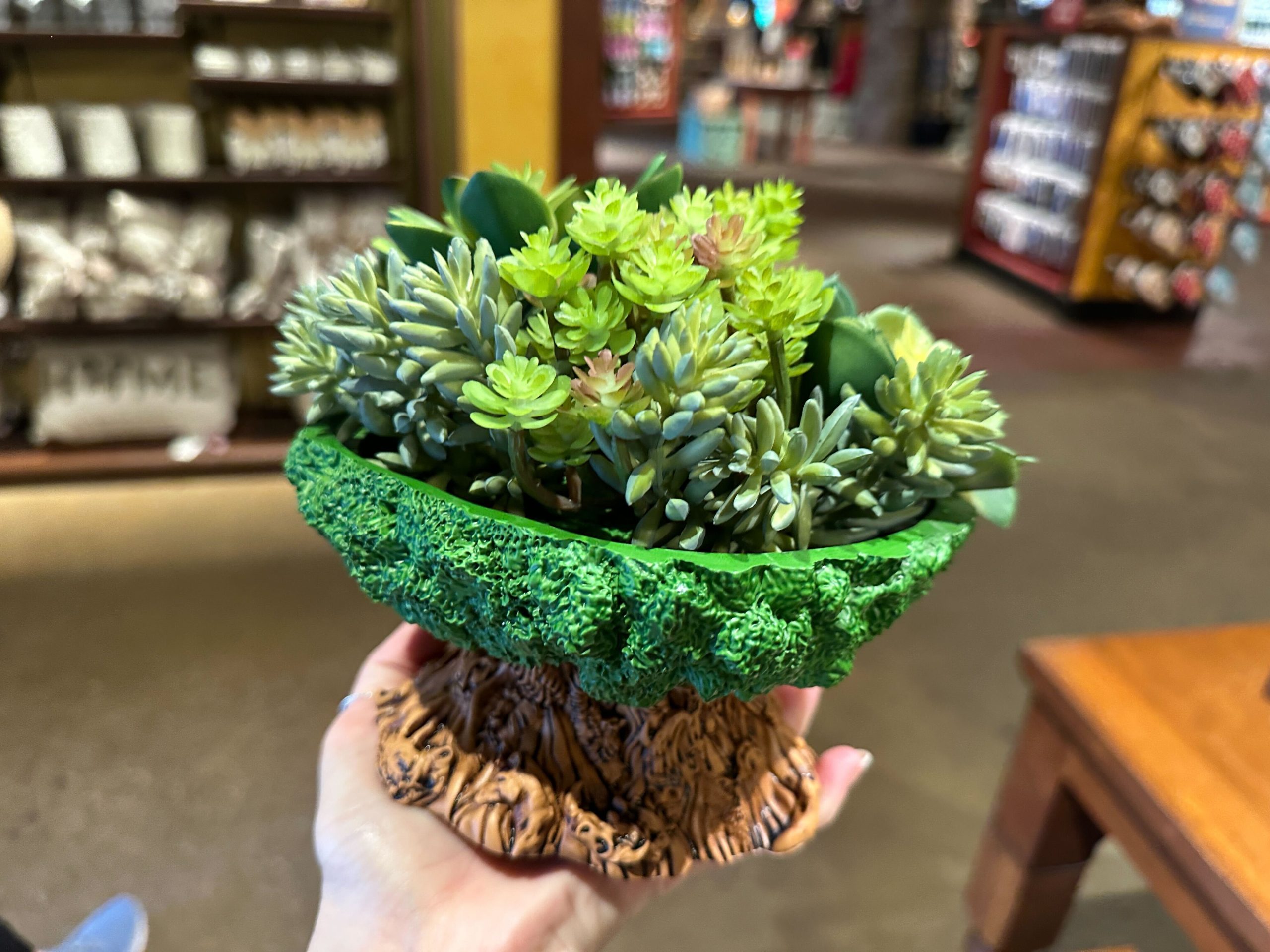 Tree of Life Succulent Now Available at Disney's Animal Kingdom - WDW ...