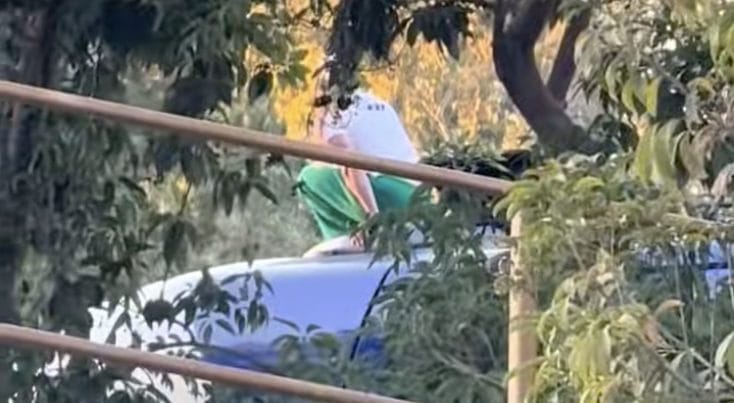 Person Climbs on Top of Disneyland Monorail During Power Outage - WDW ...