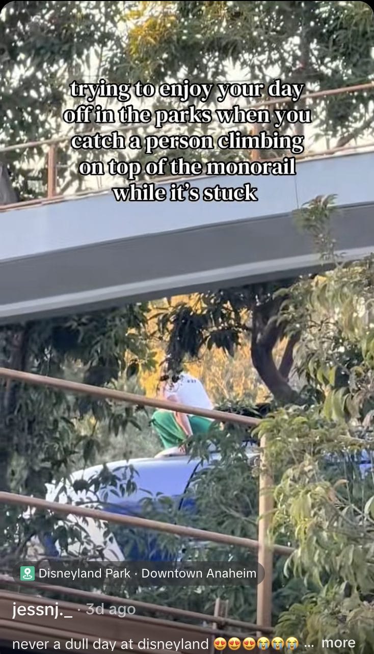 Person Climbs on Top of Disneyland Monorail During Power Outage - WDW ...
