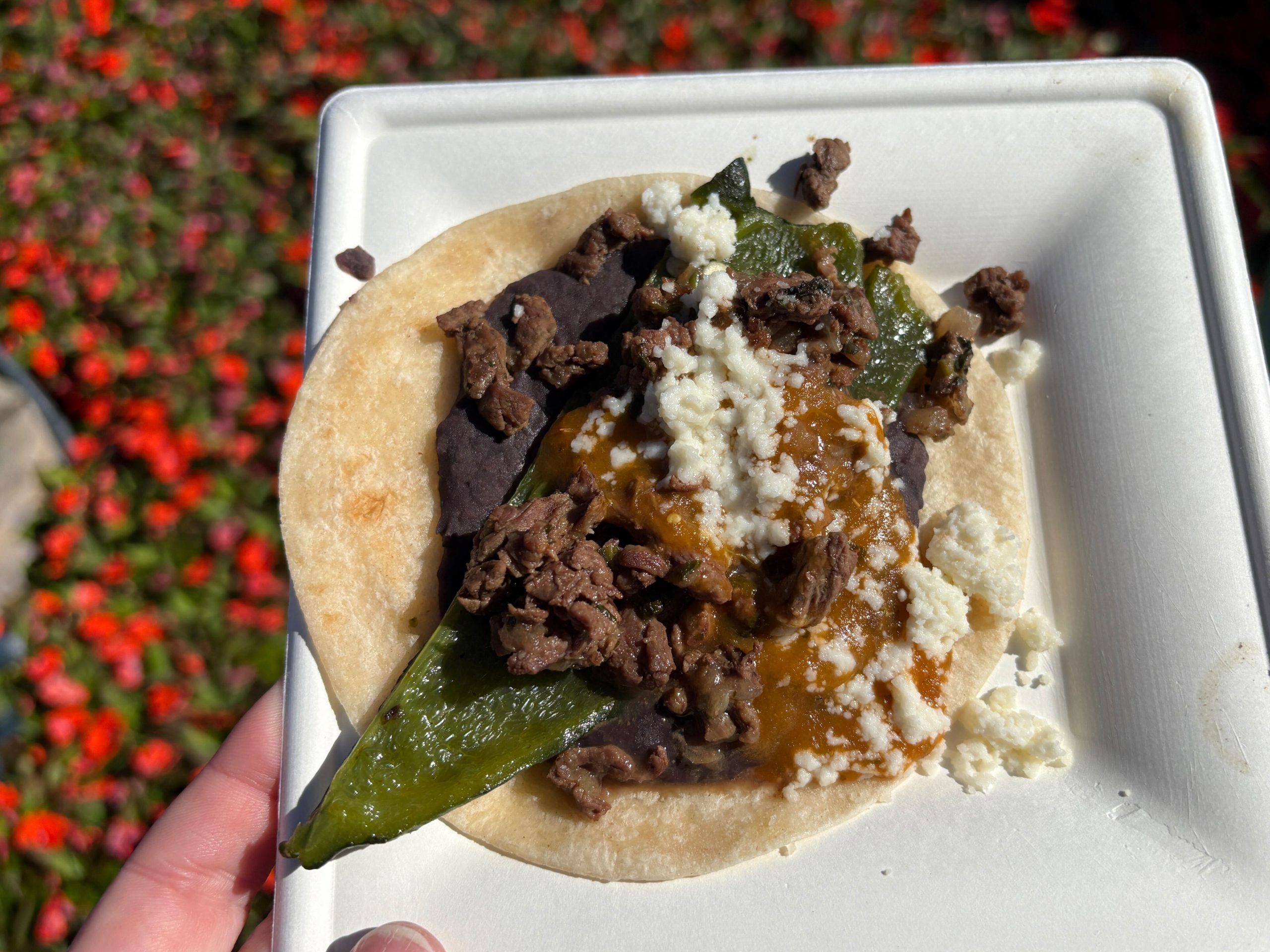 REVIEW: NEW Food and Beverage Items Available at the EPCOT ...